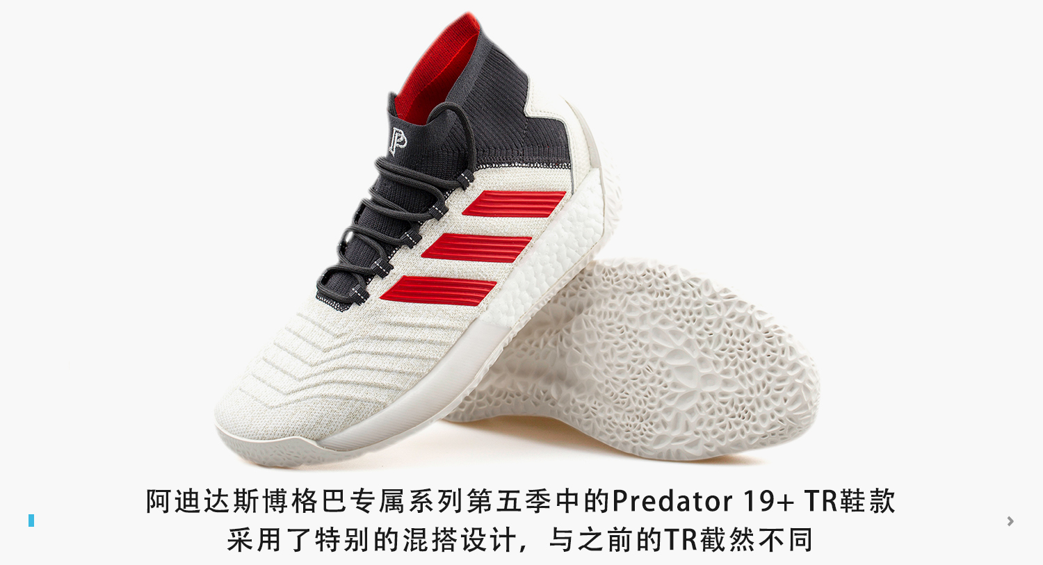 adidas Predator 19+ PP TR 运动鞋 - 足球鞋美图_实拍图片 - 足球鞋足球装备门户_ENJOYZ足球装备网