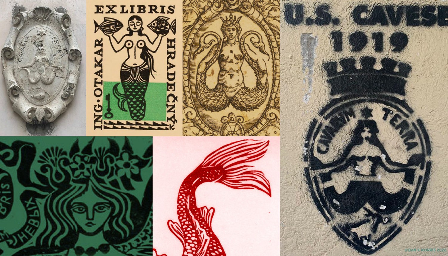 Ezeta Design为意大利低级别球队Cavese 1919推出新球衣 - 球衣 - 足球鞋足球装备门户_ENJOYZ足球装备网